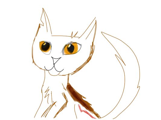 Derp Cat Drawing