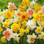 Favorite Flowers - Quiz | Quotev