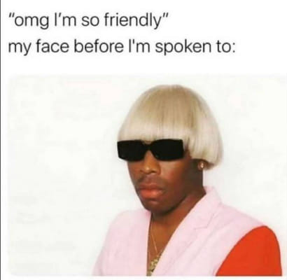 Write a letter to Starfruit cookie - Quiz | Quotev