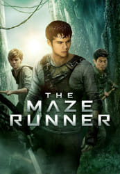 Who are you in Maze Runner? - Quiz | Quotev