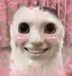 are you goofy ah cat? - Quiz | Quotev