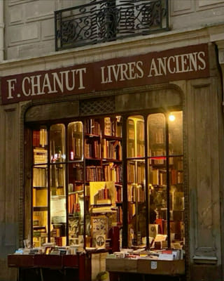 Japanese Rose | Quotev