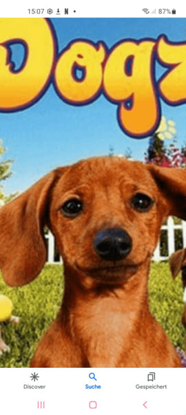 Anti Therian - Survey | Quotev