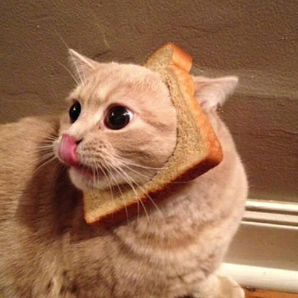 Fight Me Helen | Quotev