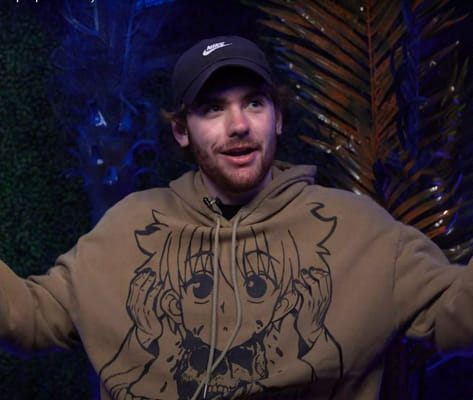 Pick random things and gat a dsmp member - Quiz | Quotev