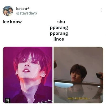 Pick SKZ Memes Get A Surprise - Quiz | Quotev