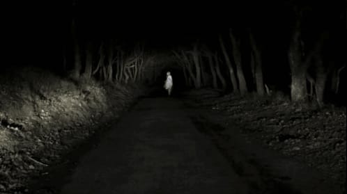 What's hiding inside your walls? (TW: possibly disturbing results and ...
