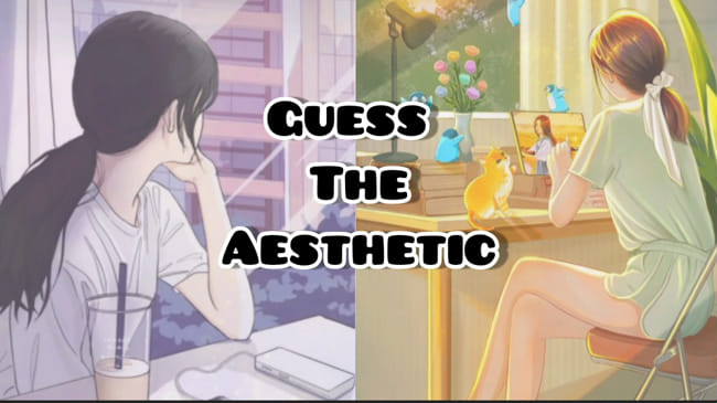 Guess the Types of Aesthetic - Test | Quotev
