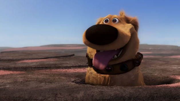 Which Disney Pixar dog should you adopt? - Quiz | Quotev