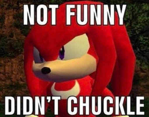 What does Knuckles the Echidna think of you? - Quiz | Quotev