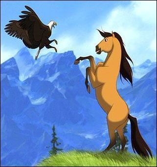 Which Spirit Character are you? - Quiz | Quotev