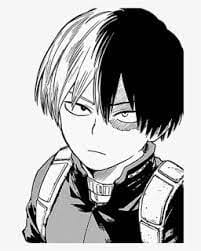 Shoto Todoroki READ PINNED | Quotev