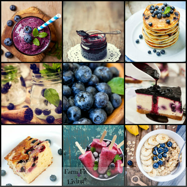What type of blueberry are you? - Quiz | Quotev