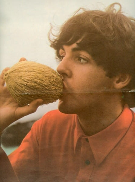 Published | zoe | Quotev