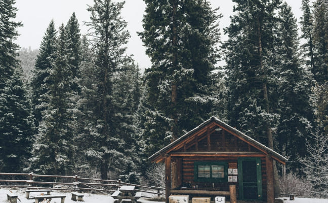 What one of my theriotypes do you remind me of most? - Quiz | Quotev