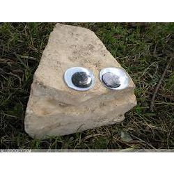 Talk to a rock - Quiz | Quotev