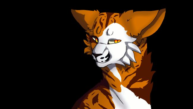 How well do you know Mapleshade? - Test | Quotev
