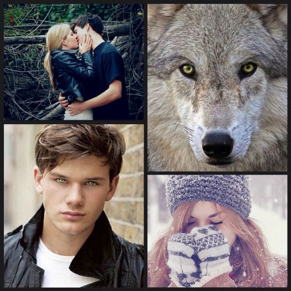 The Wolves Of Mercy Falls Quiz - Test | Quotev