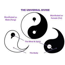 Yin and Yang - Quiz | Quotev