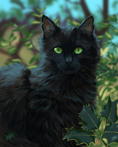 Hollyleaf - Test | Quotev