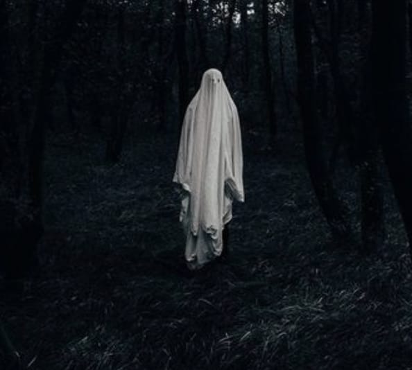 Published | Ava | Quotev