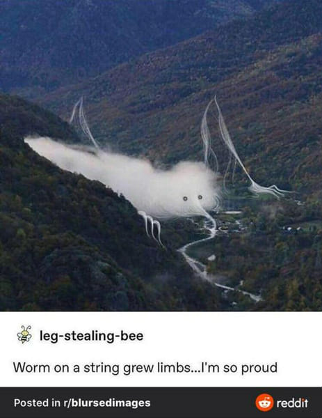 Fuzzy Worm Cult Survey - Survey | Quotev