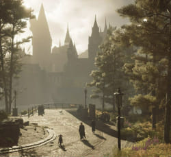 Your Harry Potter life - Quiz | Quotev