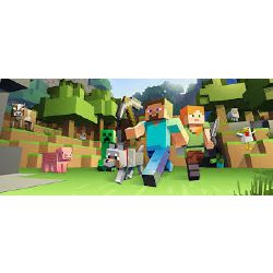 What is your minecraft soul block? - Quiz | Quotev