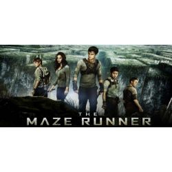Maze runner life - Quiz | Quotev