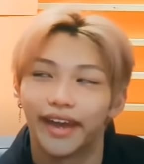 Pick some cursed Stray Kids images and get an ATEEZ member! - Quiz | Quotev