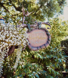 Build a fairycore wardrobe and get a Disney Fairy - Quiz | Quotev