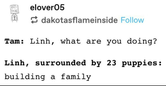 Meme War: Tam vs. Linh - Quiz | Quotev