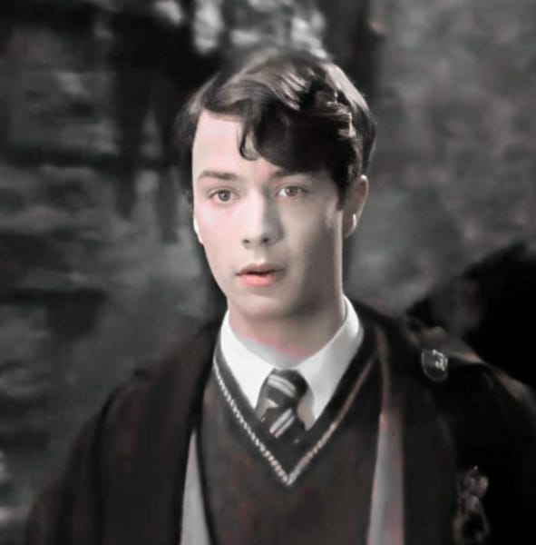 Have a Conversation With Tom Riddle and See What He Thinks of You ...