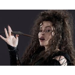 Harry Potter ships poll: Bellatrix Lestrange - Survey | Quotev