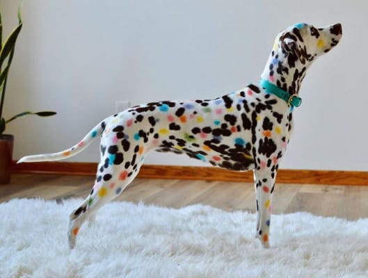 Create a weirdcore house get a weirdcore per - Quiz | Quotev