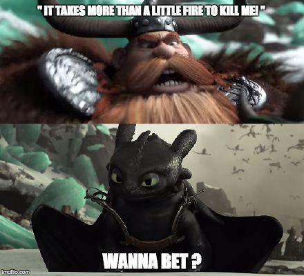 Do you think this is Funny? HTTYD - Quiz | Quotev
