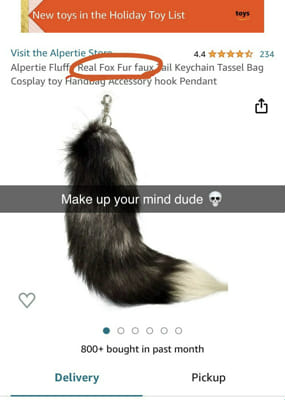 What Fox Are You In The Fox Family? - Quiz | Quotev