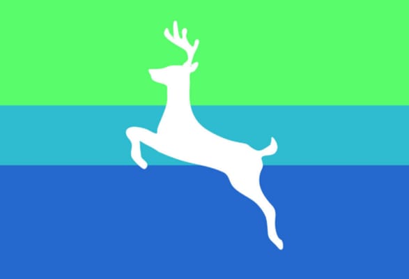 Do You Know These Pride Flags? {3} - Test | Quotev