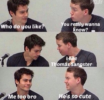 Try Not to Laugh (Maze Runner) - Quiz | Quotev