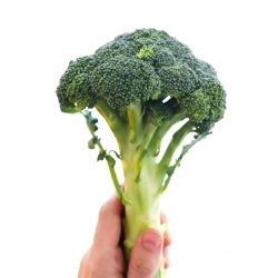 What is Your Favorite Part About Broccoli? - Quiz | Quotev