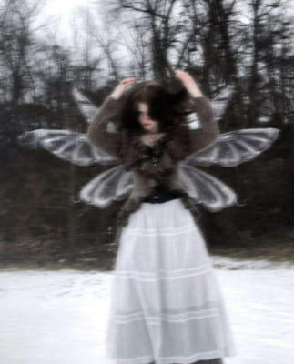 What type of fairy are you? ᵕ̈ - Quiz | Quotev
