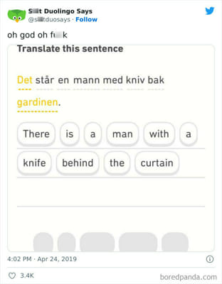 Pick some unhinged Duolingo sentences and get a dream SMP member - Quiz ...
