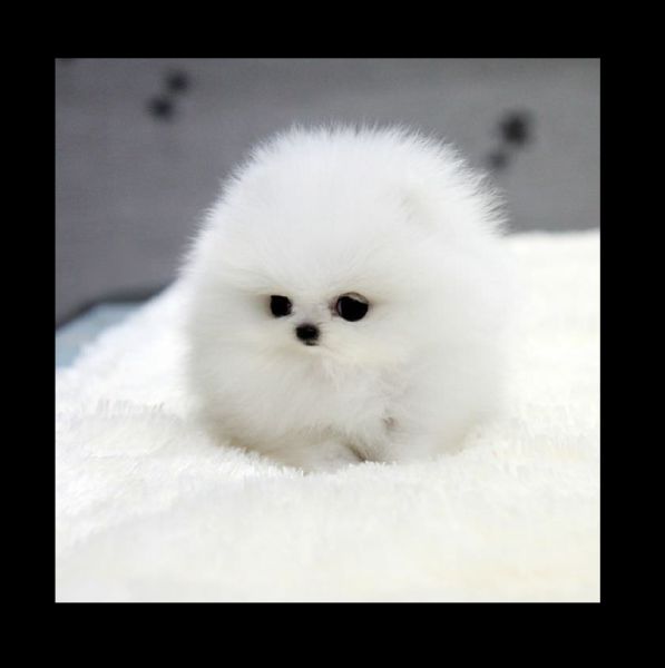 Are you cute? - Quiz | Quotev