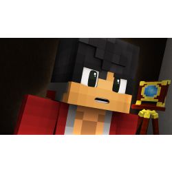 How Well Do you Know Aaron? (Minecraft Diaries) - Test | Quotev