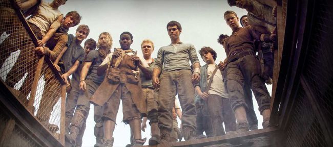 Your Maze Runner life - Quiz | Quotev