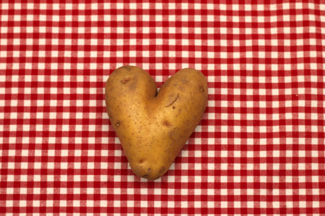 Do You Have A Potato Brain? - Test | Quotev