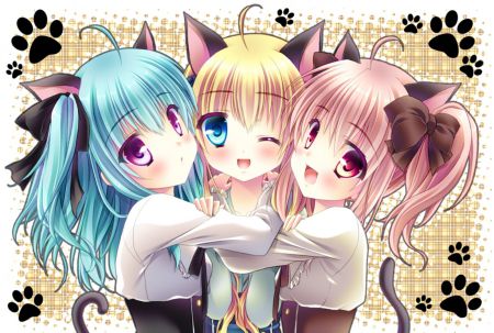 What Type Of Neko are you - Quiz | Quotev