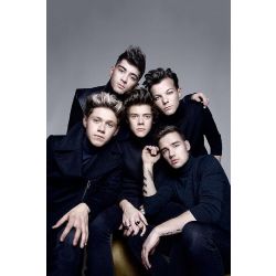 Pick One, Kick One *One Direction Edition* - Survey | Quotev