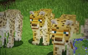 What Minecraft mob are you? - Quiz | Quotev