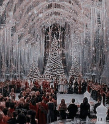 your hogwarts yule ball - Quiz | Quotev